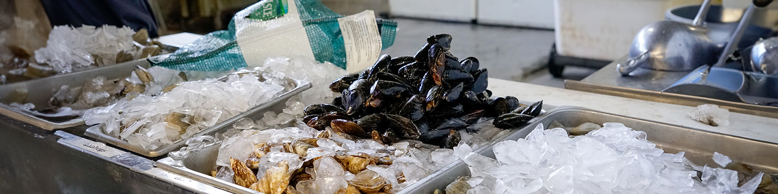 Fish Market & Wholesale Seafood | Lobster, Crab, Scallops & More