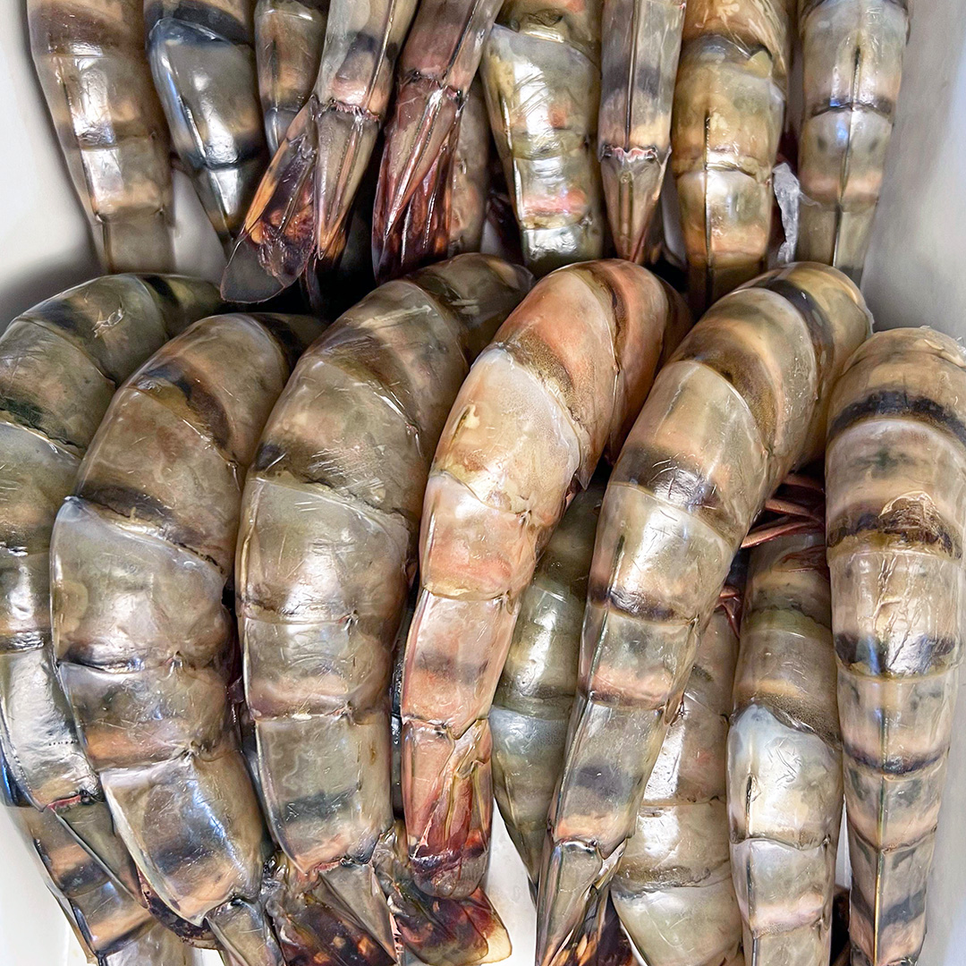 Weekly Specials - Fresh Seafood - Retail Counter & Restaurant