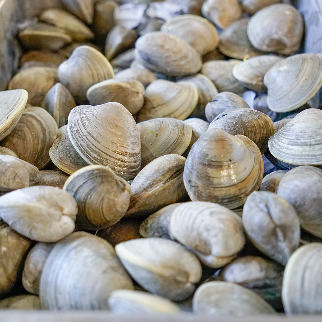 Weekly Specials - Fresh Seafood - Retail Counter & Restaurant